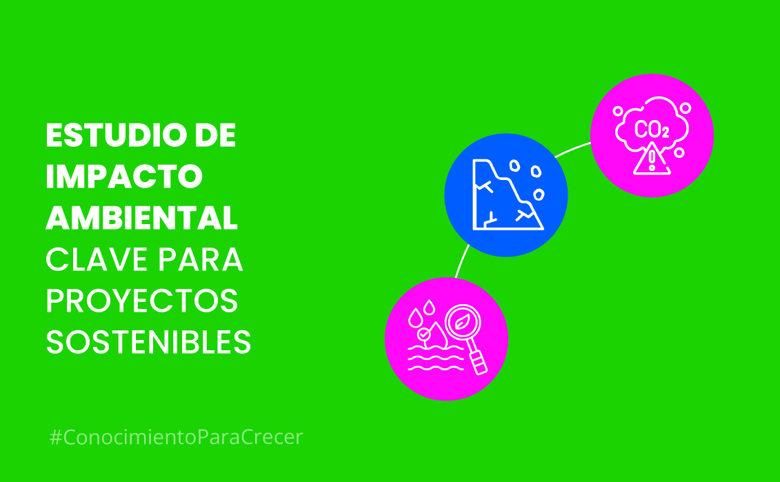 Estudio de Impacto Ambiental: Clave para Proyectos Sostenibles