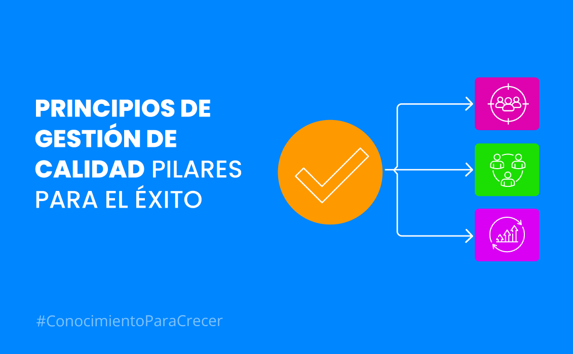 Principios de Gestión de Calidad: Pilares para el Éxito