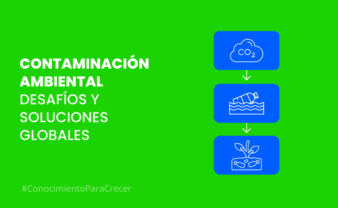 Contaminación Ambiental: Desafíos y Soluciones Globales